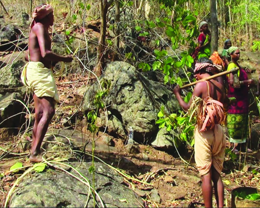 Forest Rights Act , 2006 | UPSC YARD