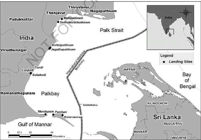Palk Bay : A Unique Marine Ecosystem | UPSC YARD